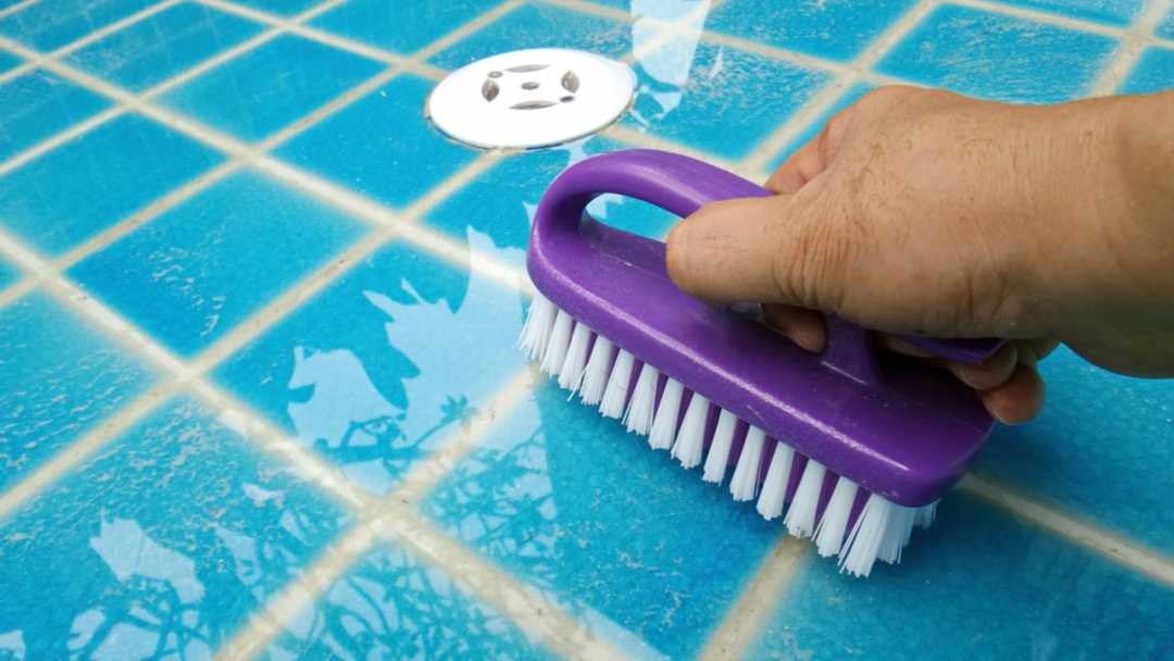 Algen im Pool: 10 Tipps zur effektiven Bekämpfung Algen im Pool: 10 Tipps zur effektiven Bekämpfung