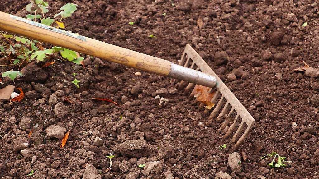 15 nützliche Gartengeräte: Diese sollte jeder Gärtner besitzen