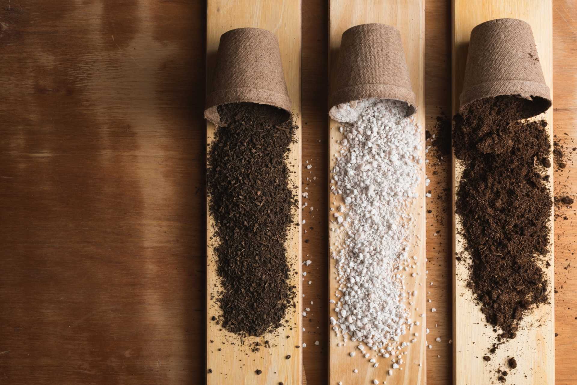 Welches Substrat eignet sich für welche Pflanze?